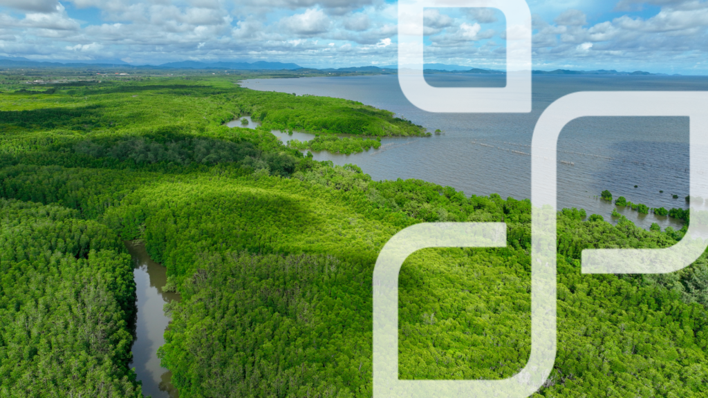 Driving the Decarbonization Agenda: A Practical Approach to Emissions ...